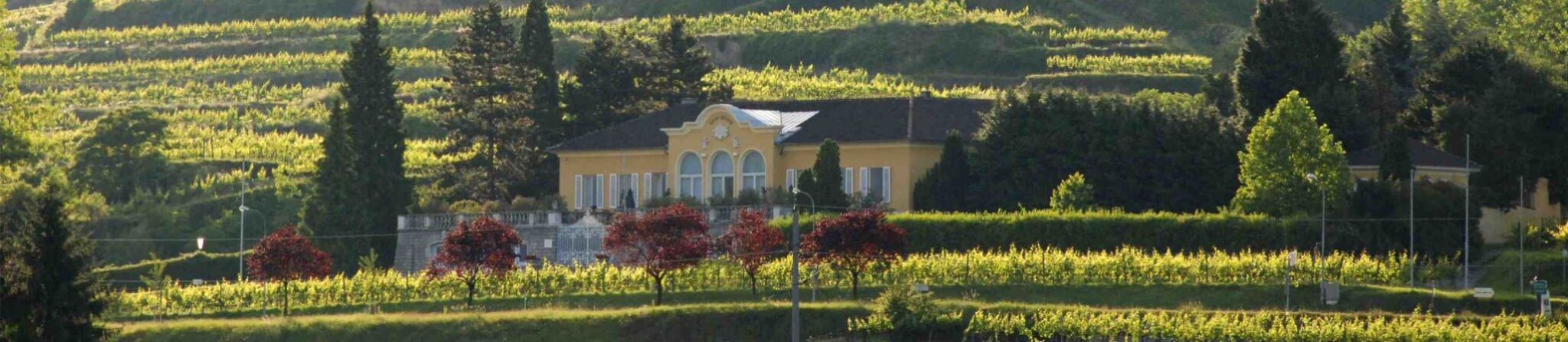 Peter Graham Wines